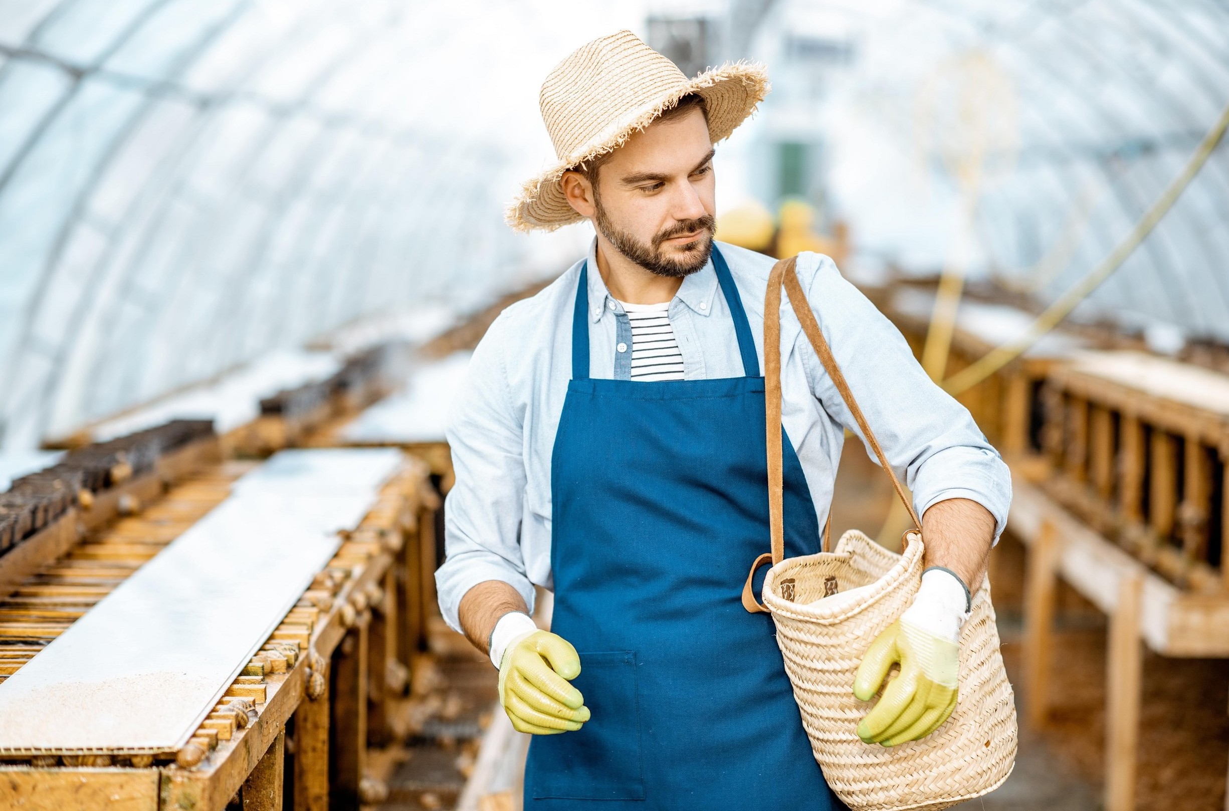 Contratto agricolo 2024, quali sono i livelli e i relativi stipendi ...
