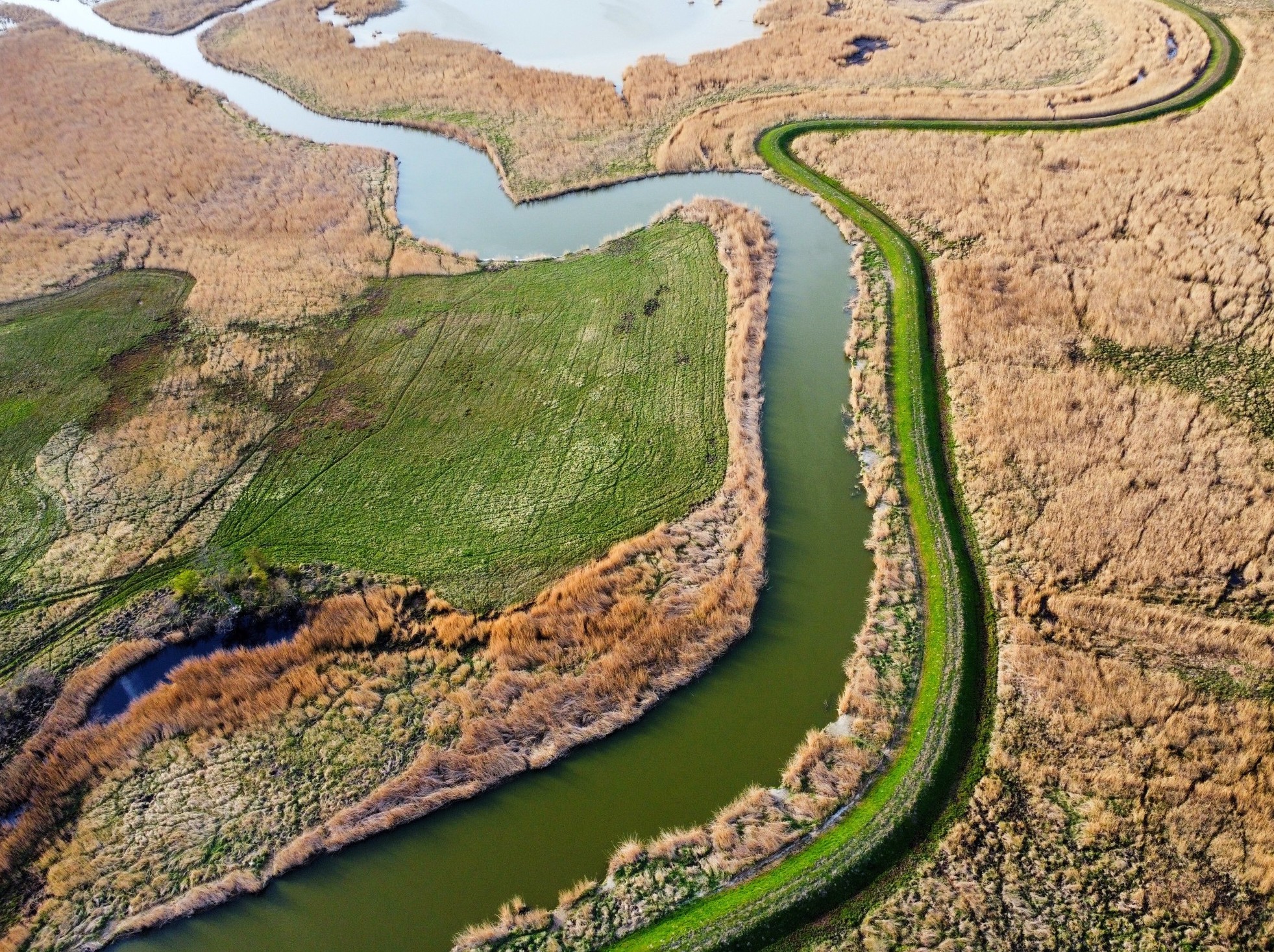 Agricoltura e agroalimentare in Italia: crescono ricavi e occupazione, i settori e regioni ...