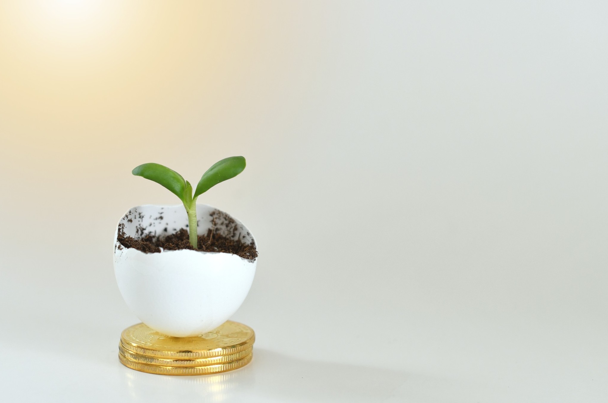 Tutte le 6 tipologie di Btp in emissione nel 2025 e relative caratteristiche accanto all'inedito ...